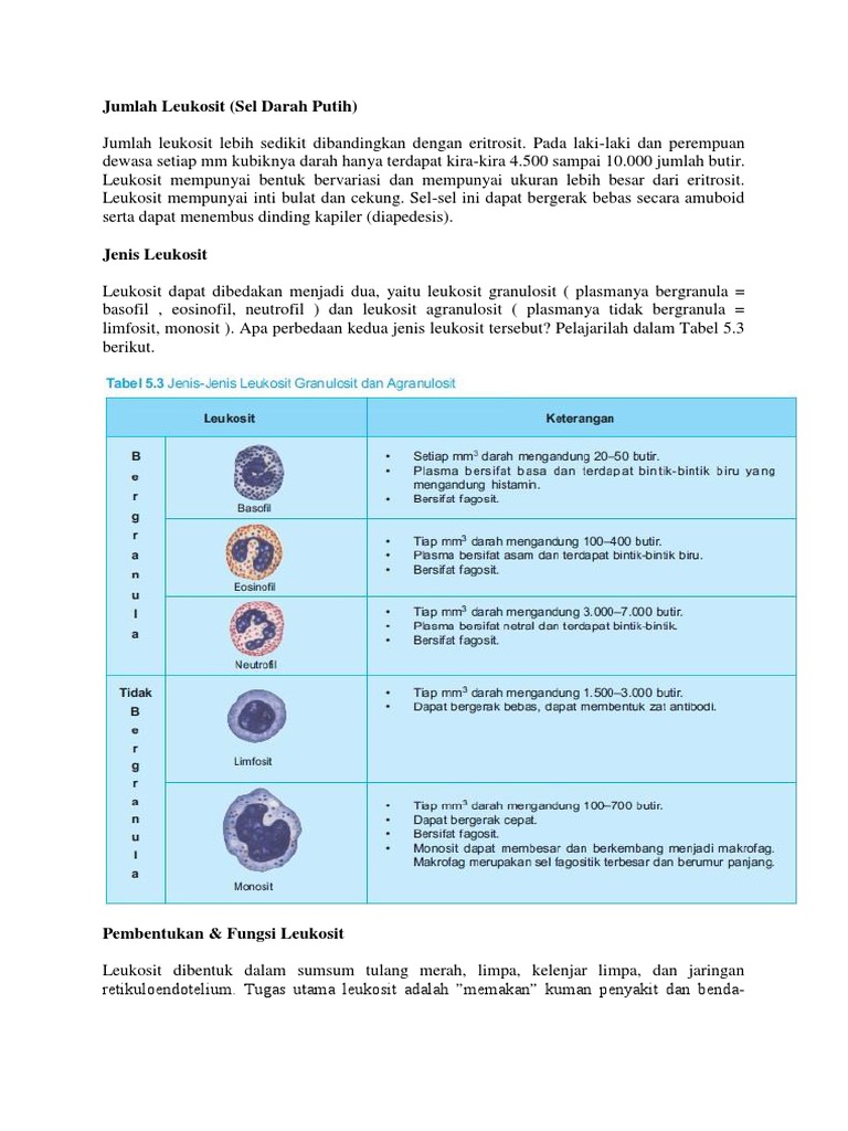 Jenis dan Fungsi Leukosit dalam Darah | PDF
