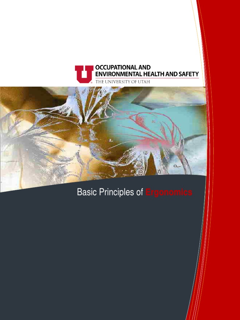 Basic Principles of Ergonomics | PDF | Human Factors And Ergonomics ...