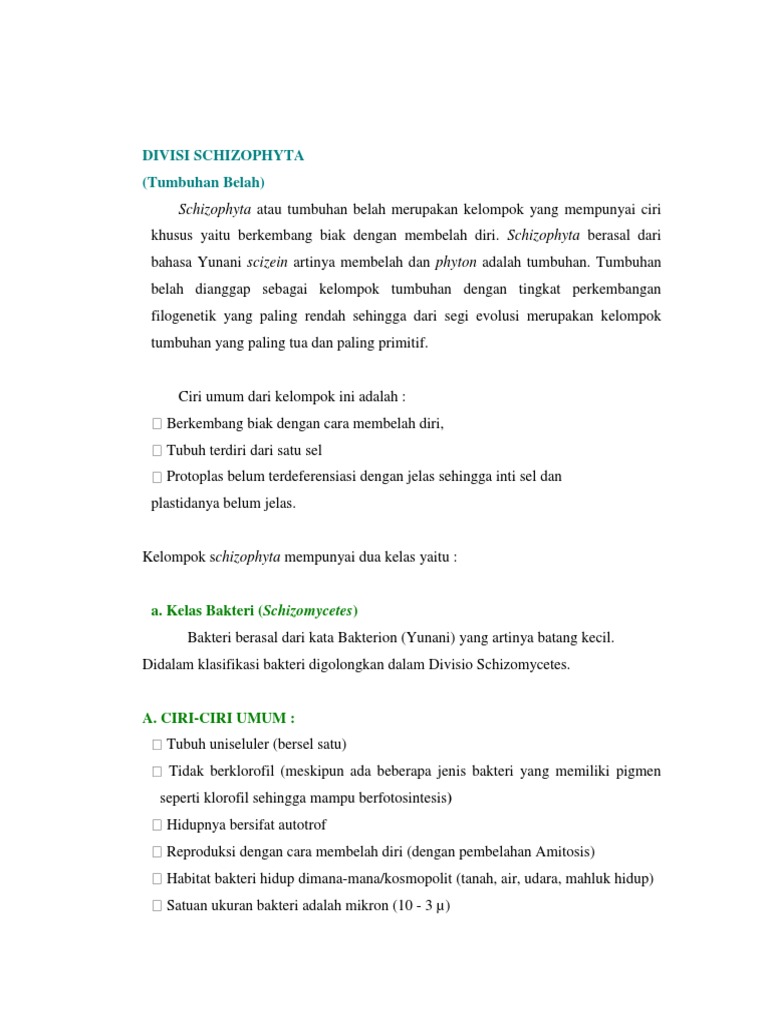 Ciri dan Klasifikasi Schizophyta | PDF