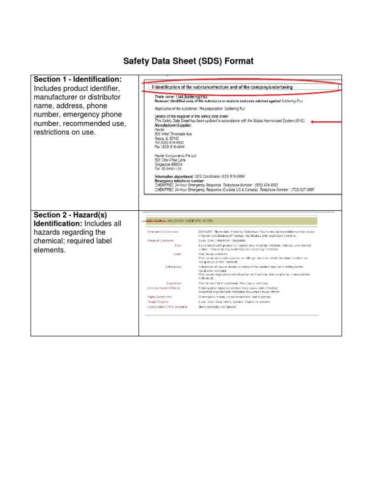 Safety Data Sheet (SDS) Format | PDF