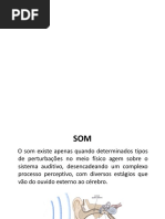 Ondas Sonoras (Atividade Adaptada) | PDF