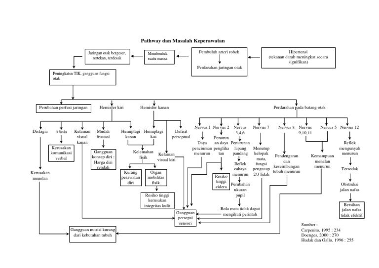 Pathway Stroke Hemoragic | PDF