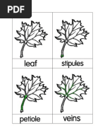 Holy Week Sequencing Cards | PDF