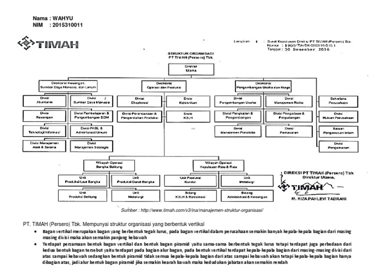PT Timah Tbk. | PDF | Karier & Perkembangan