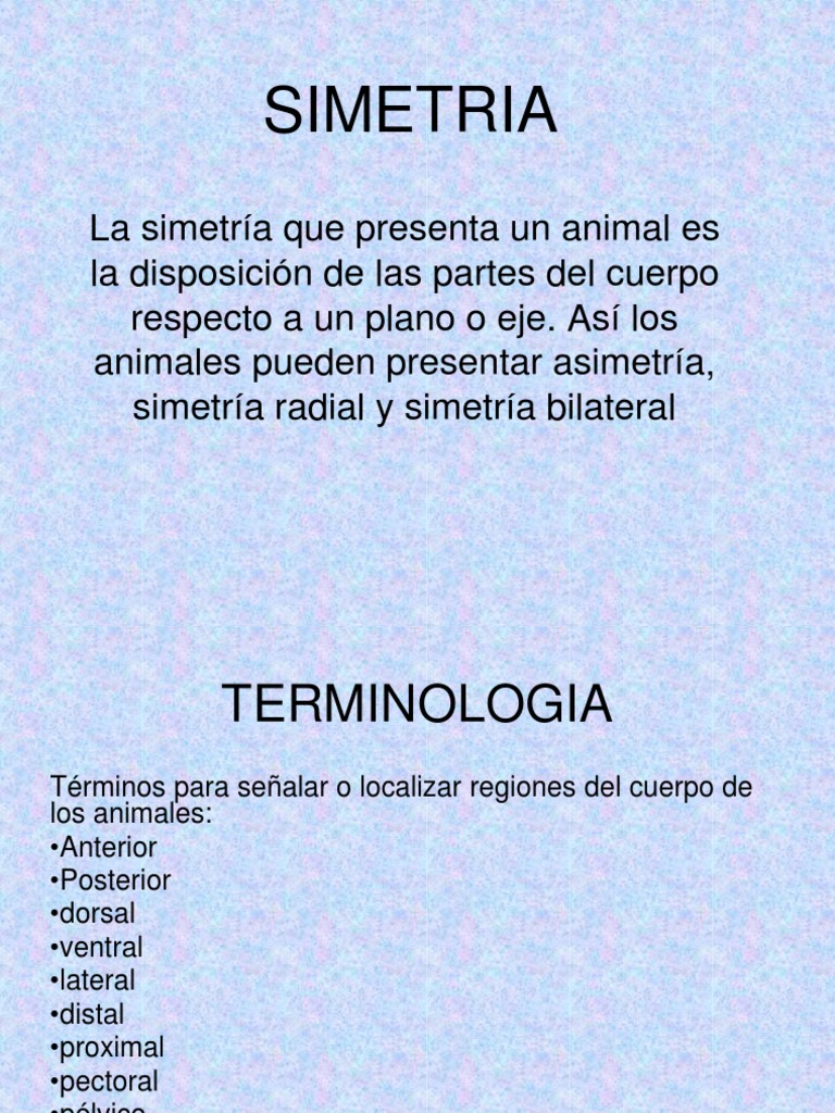 Tipos de simetría en animales | PDF