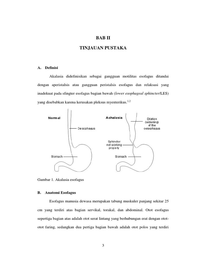 Penyakit Akalasia Esofagus: Definisi dan Gejala | PDF | Kajian Bahasa ...