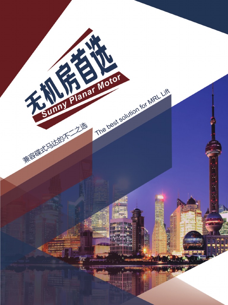 Sunny Planar Motor Catalog | PDF