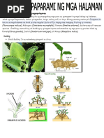 Halamang Dahon | PDF