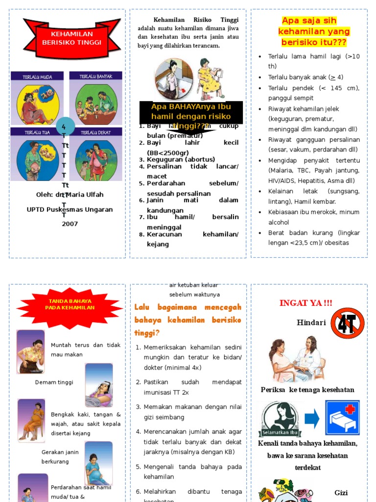 Leaflet Bumil Risti | PDF