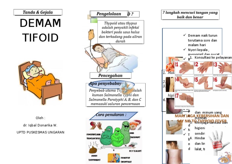 Leaflet TIFOID | PDF