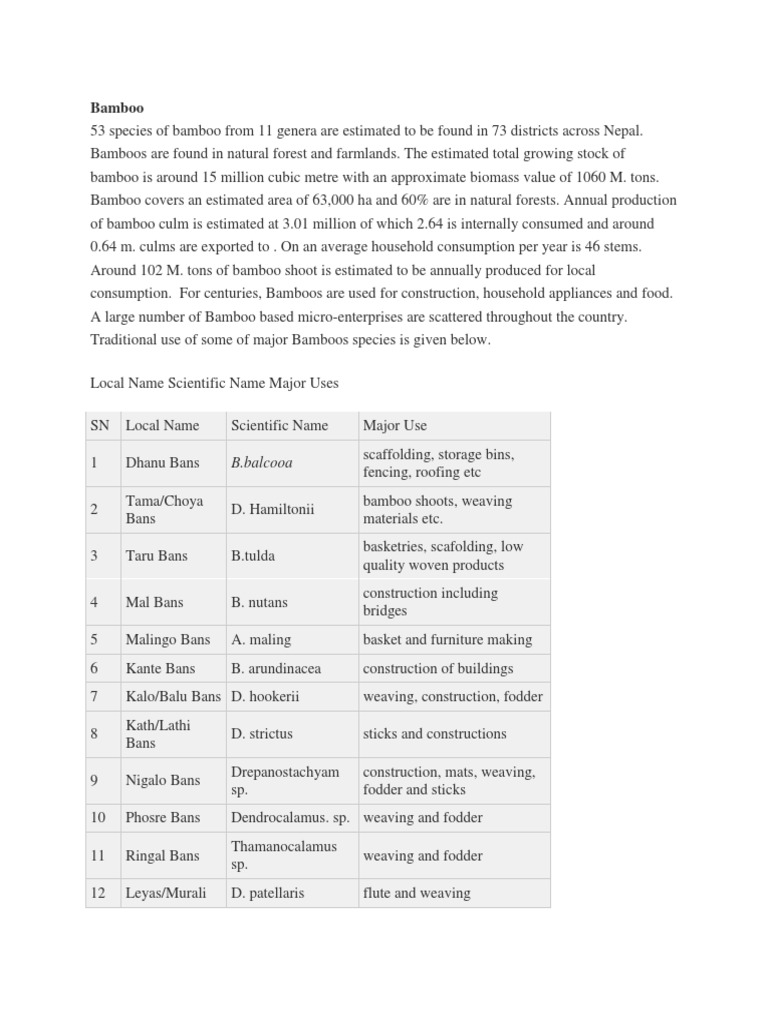 Bamboo | PDF | Bamboo | Nepal