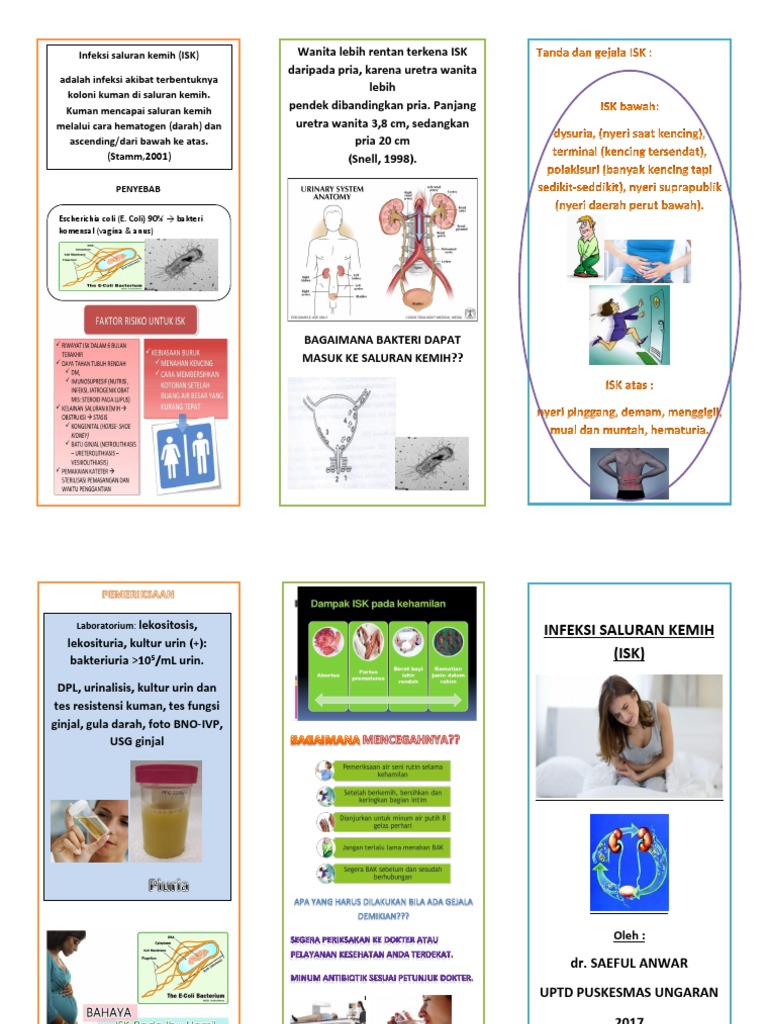 Leaflet ISK KU | PDF