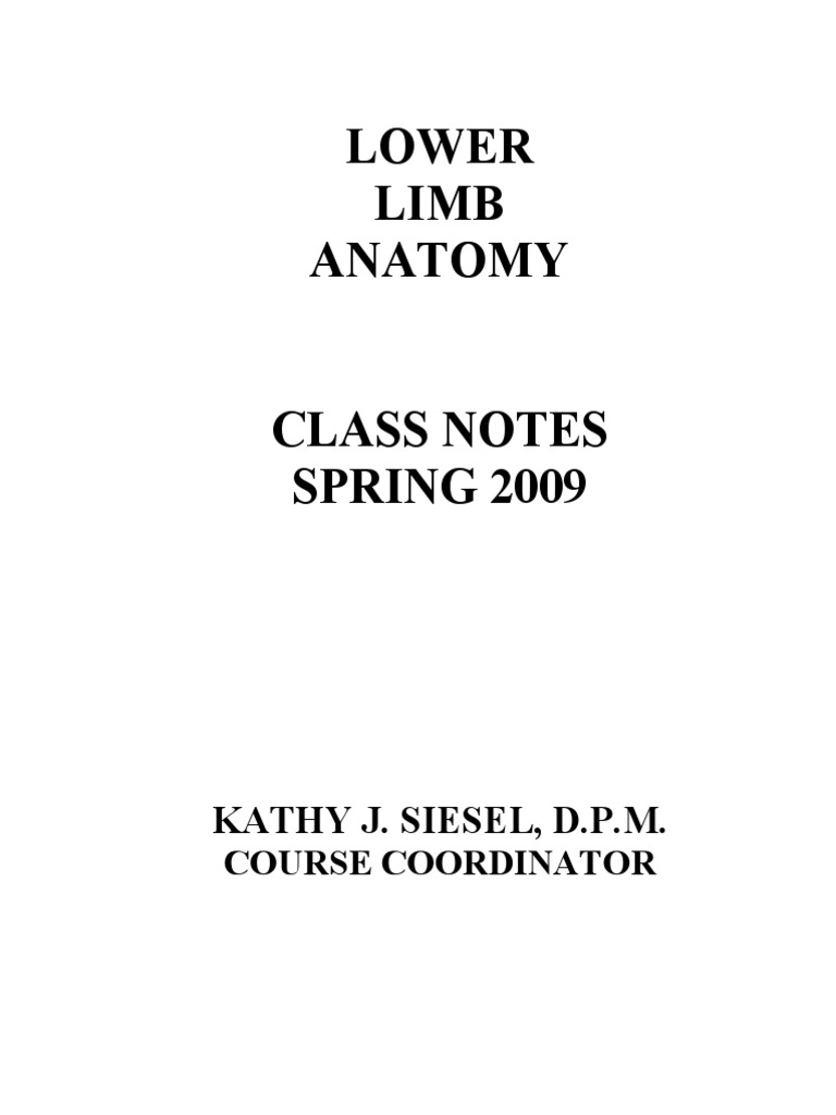 Lower Limb Anatomy Class Notes | PDF | Anatomical Terms Of Motion ...