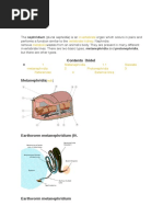 Sleep: Child's Habits Questionnaire (CSHQ) | PDF | Sleep ...