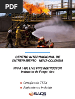 Presentación NFPA 10 | PDF | Incendios | Líquidos