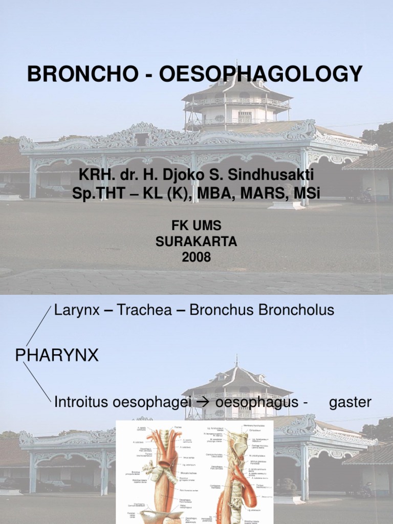 Bronchology and Oesophagology: A Comprehensive Review of Diseases of ...