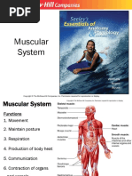 Steps of the Cross Bridge Cycle | PDF | Muscle Contraction ...