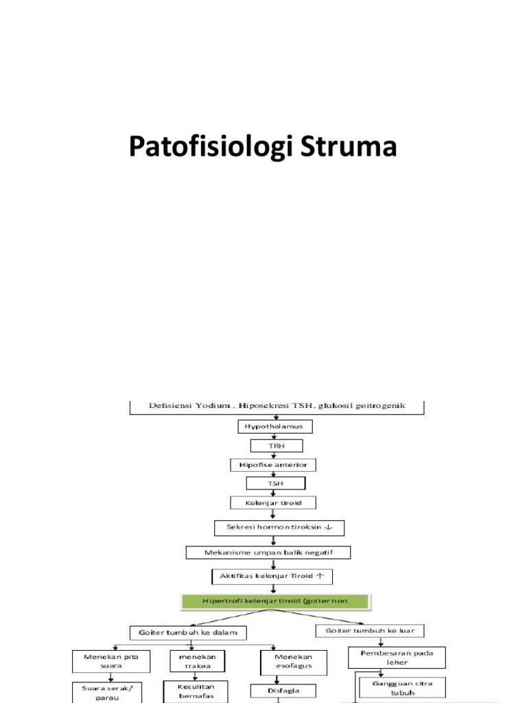 Patofisiologi Struma dan Klasifikasinya | PDF | Sains & Matematika