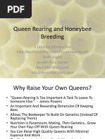 Beekeeping Training Manual | PDF | Honey Bee | Beehive