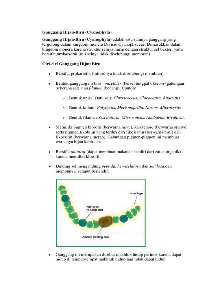 Referensi Divisi Cyanophyta | PDF