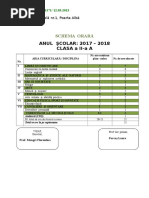 Raport Evaluari Initiale Clasa A 3 A | PDF