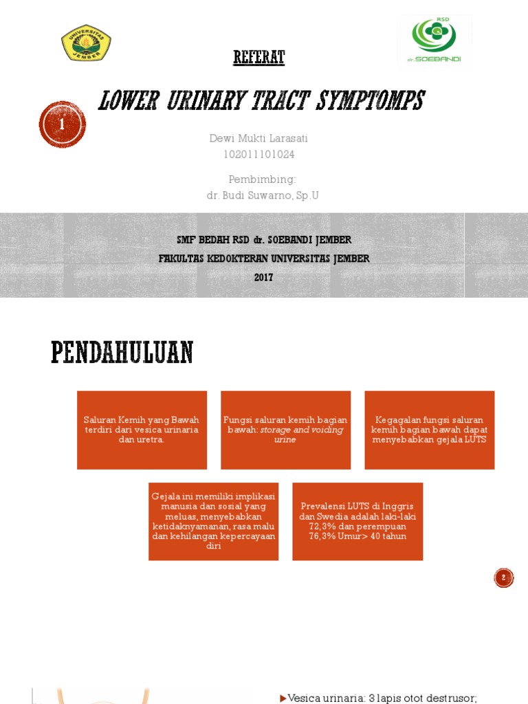 Luts | PDF | Sains & Matematika