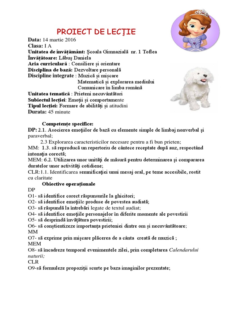 Proiect de Lecţie DP | PDF
