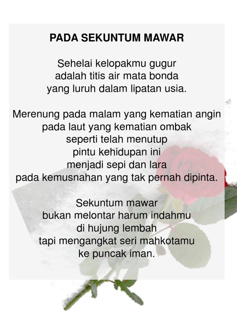 sajak pada sekuntum mawar - Natalie Campbell