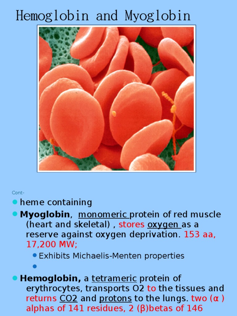 biochemistry of MYOGLOBIN & HEMOGLOBIN | Porphyrin | Hemoglobin