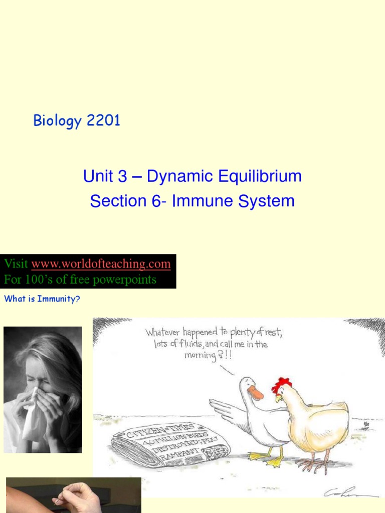Unit 3 - Dynamic Equilibrium Section 6-Immune System: Biology 2201 ...