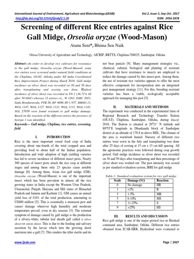Screening of Different Rice Entries Against Rice Gall Midge, Orseolia ...