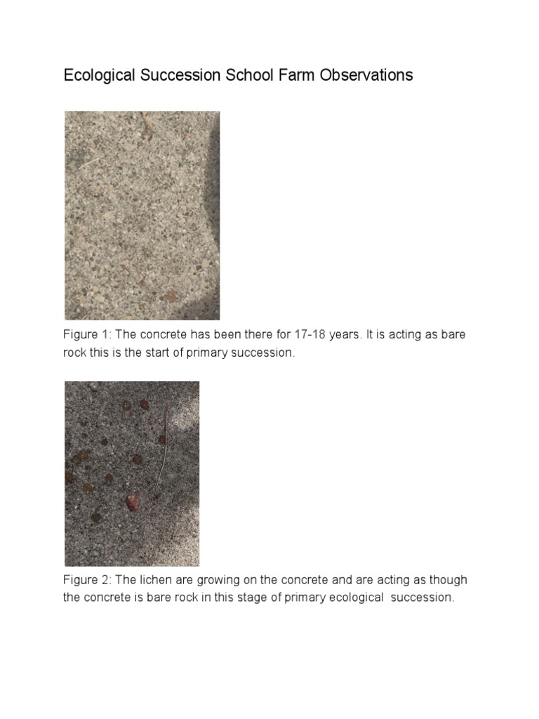 Ecological Succession School Farm Observations | PDF | Science ...