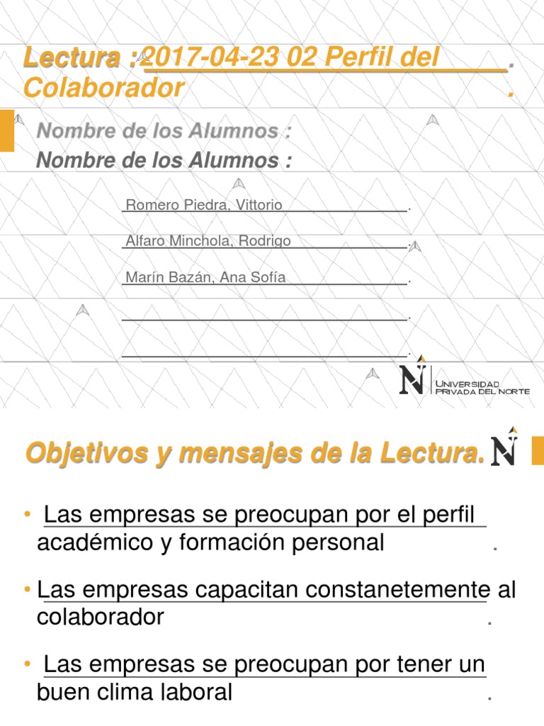 Perfil de Colaborador | PDF