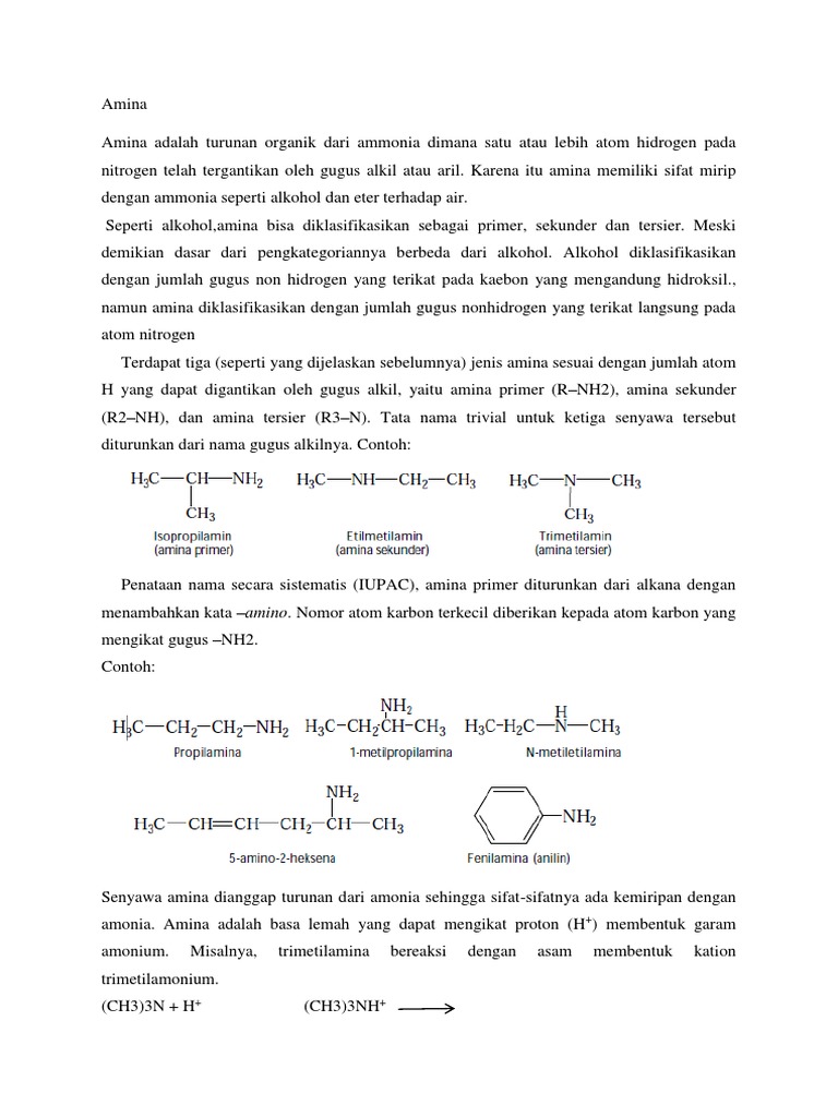 Amina | PDF
