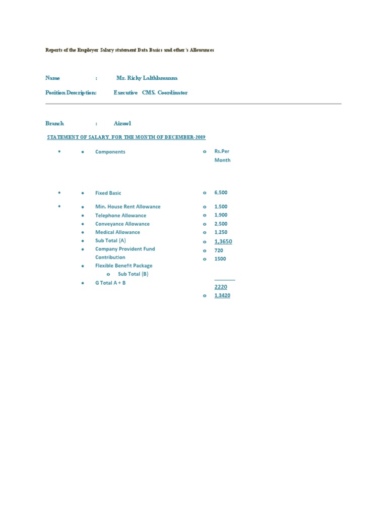 Reports of The Employer Salary Statement Data Basics and Other | PDF