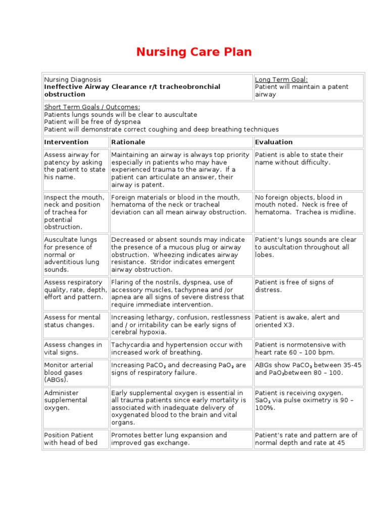 Nursing Care Plan - Ineffective Airway Clearance | PDF | Respiratory Tract | Breathing