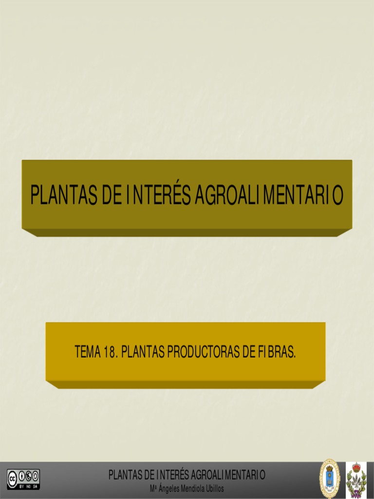 Tema 18 Plantas para Elaborar Fibras Textiles | PDF | Algodón | Cáñamo