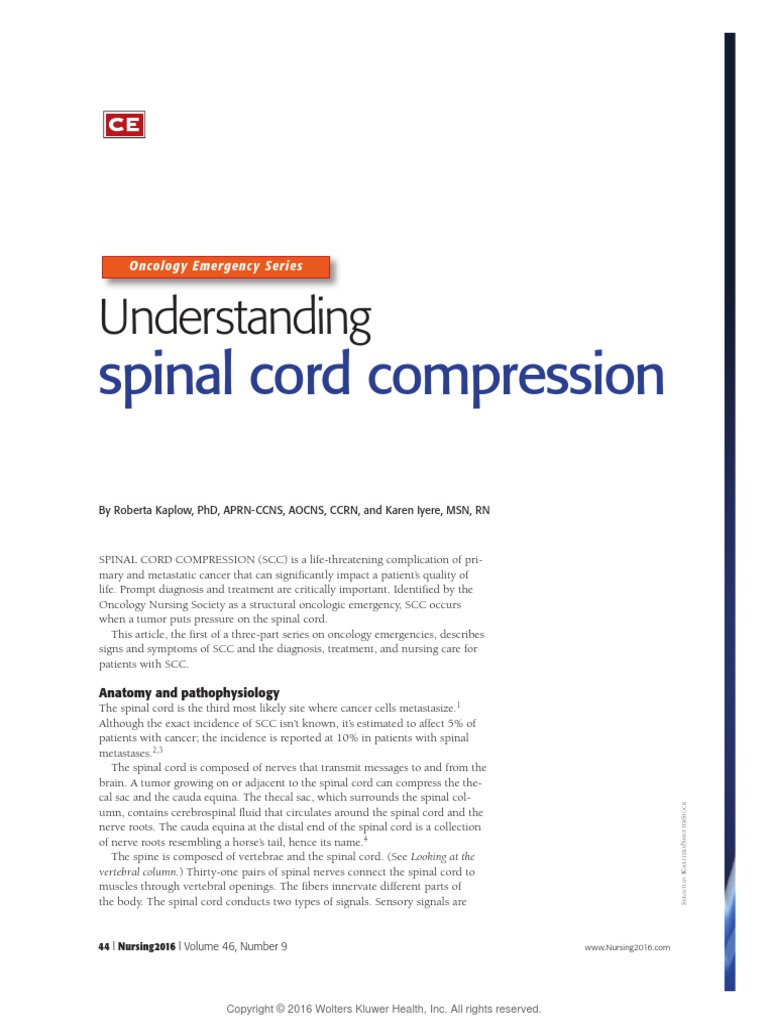 Understanding: Spinal Cord Compression | PDF | Nervous System ...