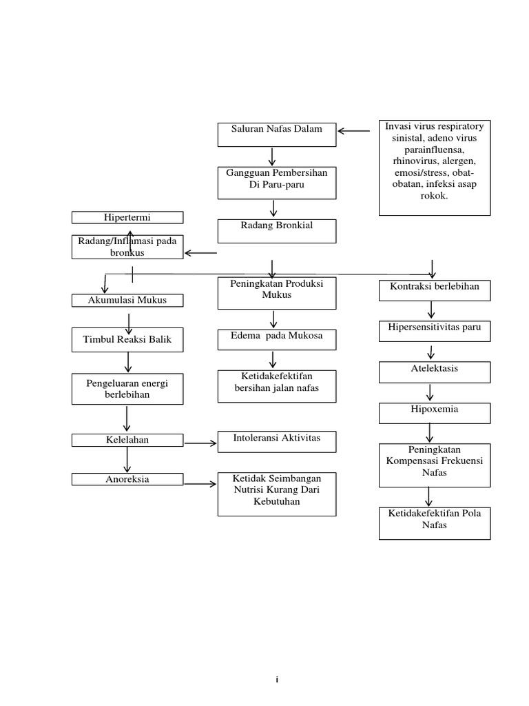 pathway bronkitis.docx