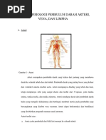 Lokasi dan Jenis Vena untuk Infus | PDF