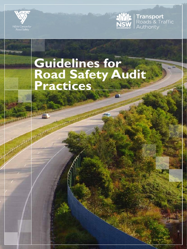 Audit Practices | PDF | Audit | Safety