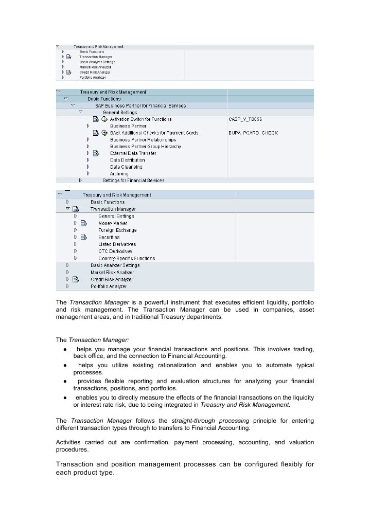 Efficient Financial Transaction Management | PDF | Valuation (Finance ...