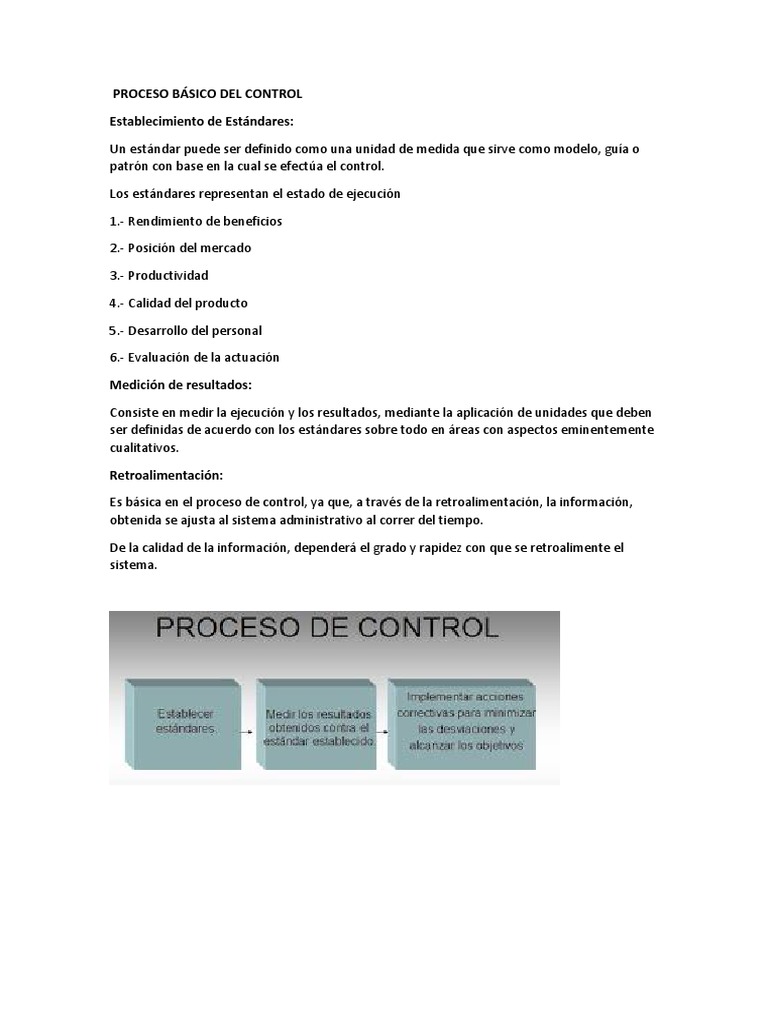 Proceso Básico Del Control | PDF | Planificación | Cognición