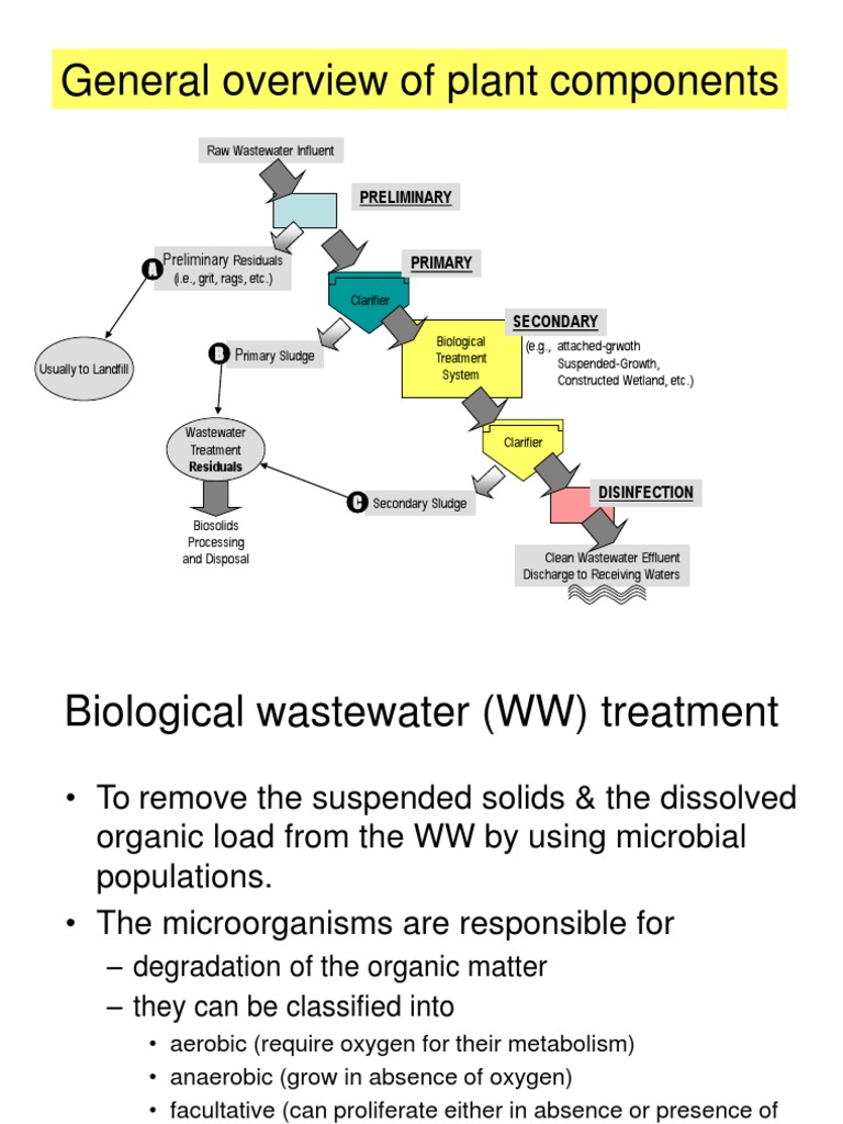 Biological Wastewater Treatment Guide | PDF | Sewage Treatment | Civil ...