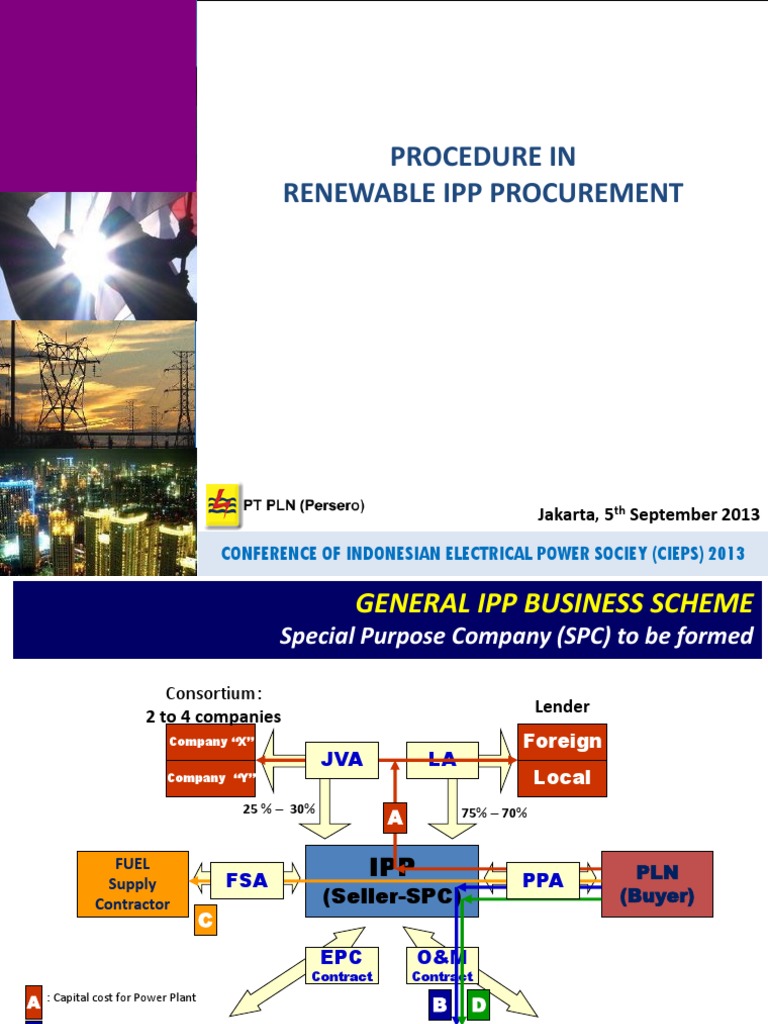 2013 IPP Procedure.pdf | Public–Private Partnership | Procurement