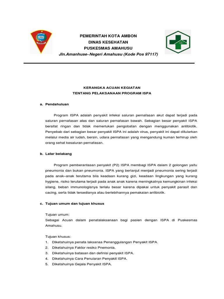 Kak Pelaksanaan Program Ispa | PDF
