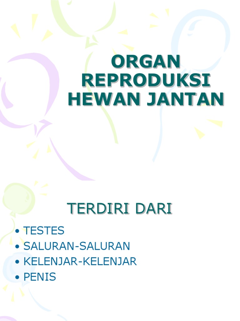 Organ Reproduksi Hewan Jantan | PDF