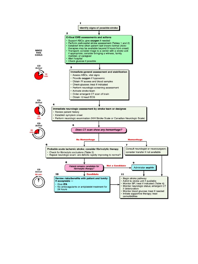 Algoritma Stroke | PDF
