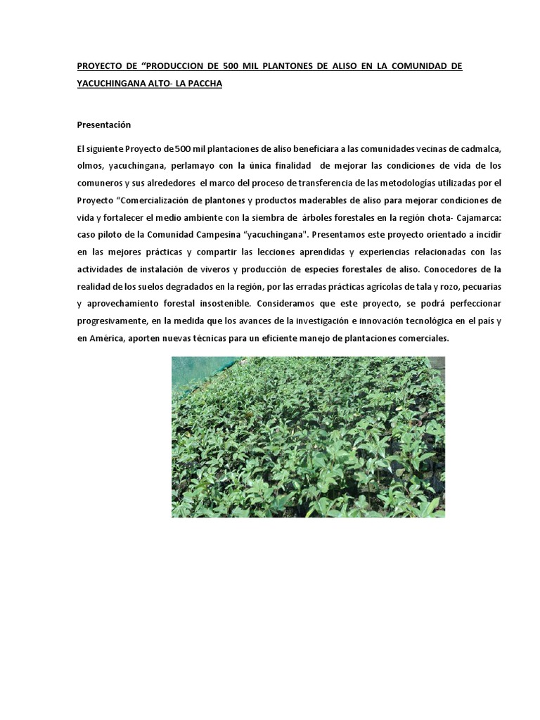 Proyecto Aliso | PDF | Los bosques | Siembra