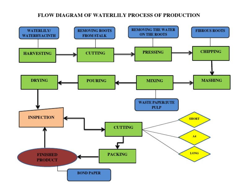 Waterlily Production Process Flow Diagram | PDF | Wood Products | Paper